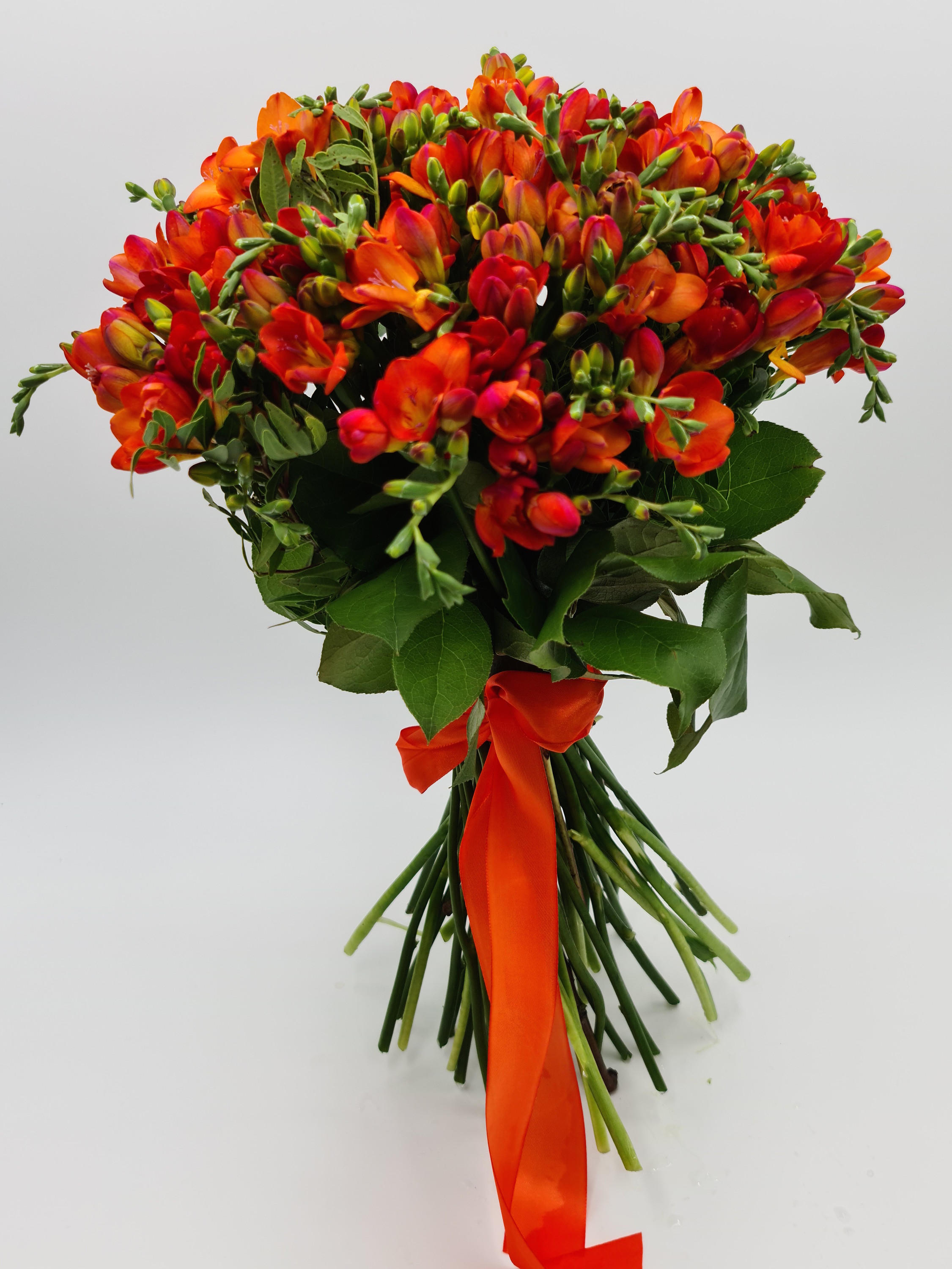 Buchet elegant din 49 frezii portocalii