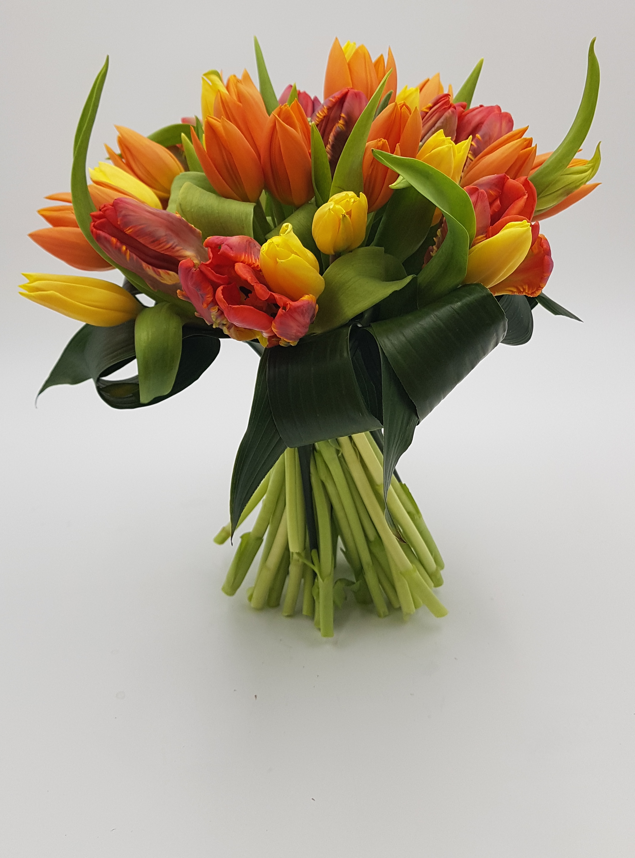 35 Lalele Portocalii, Rosii si Galbene