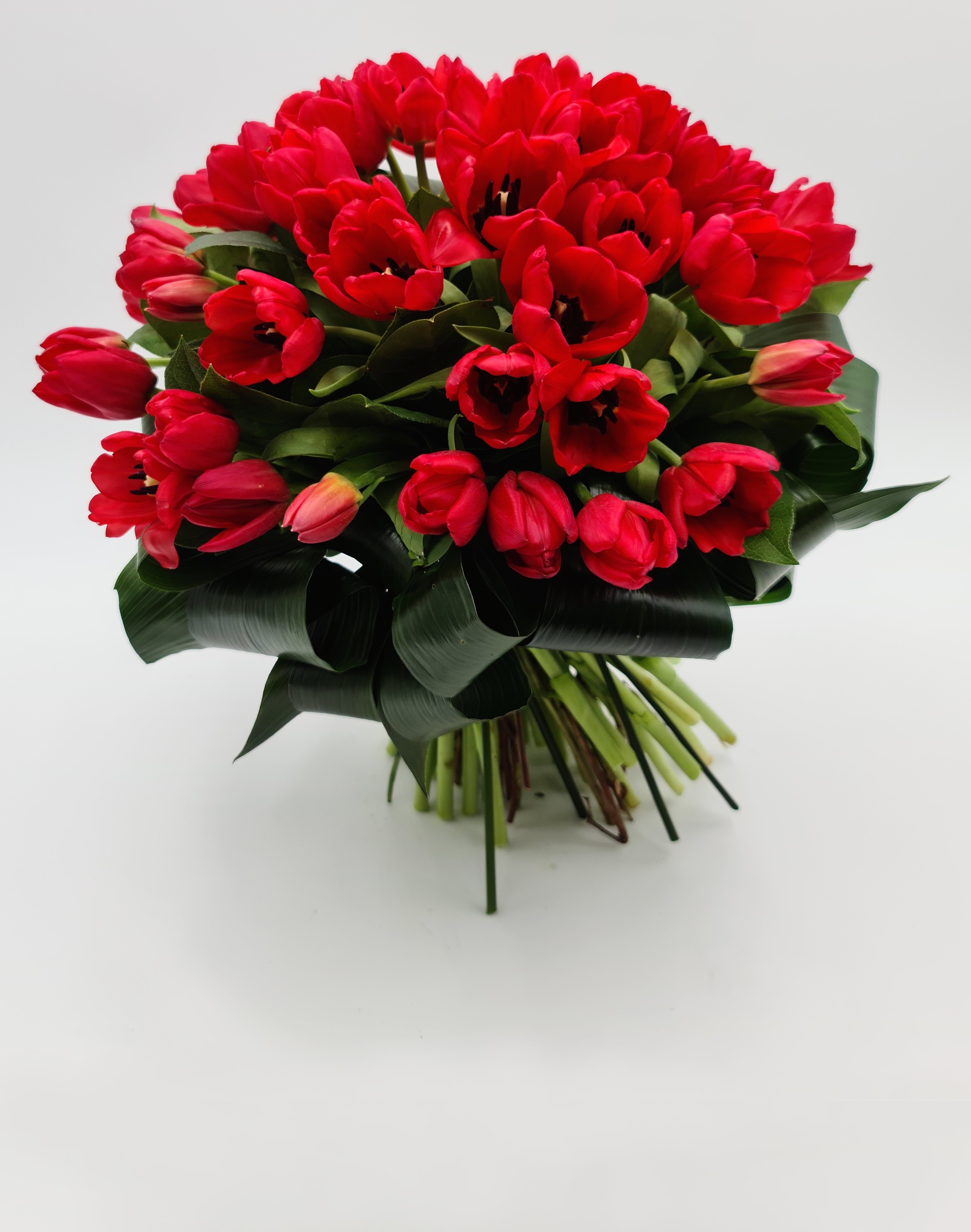 Buchet lalele rosii cu fire proaspete (Rosu Vibrant)