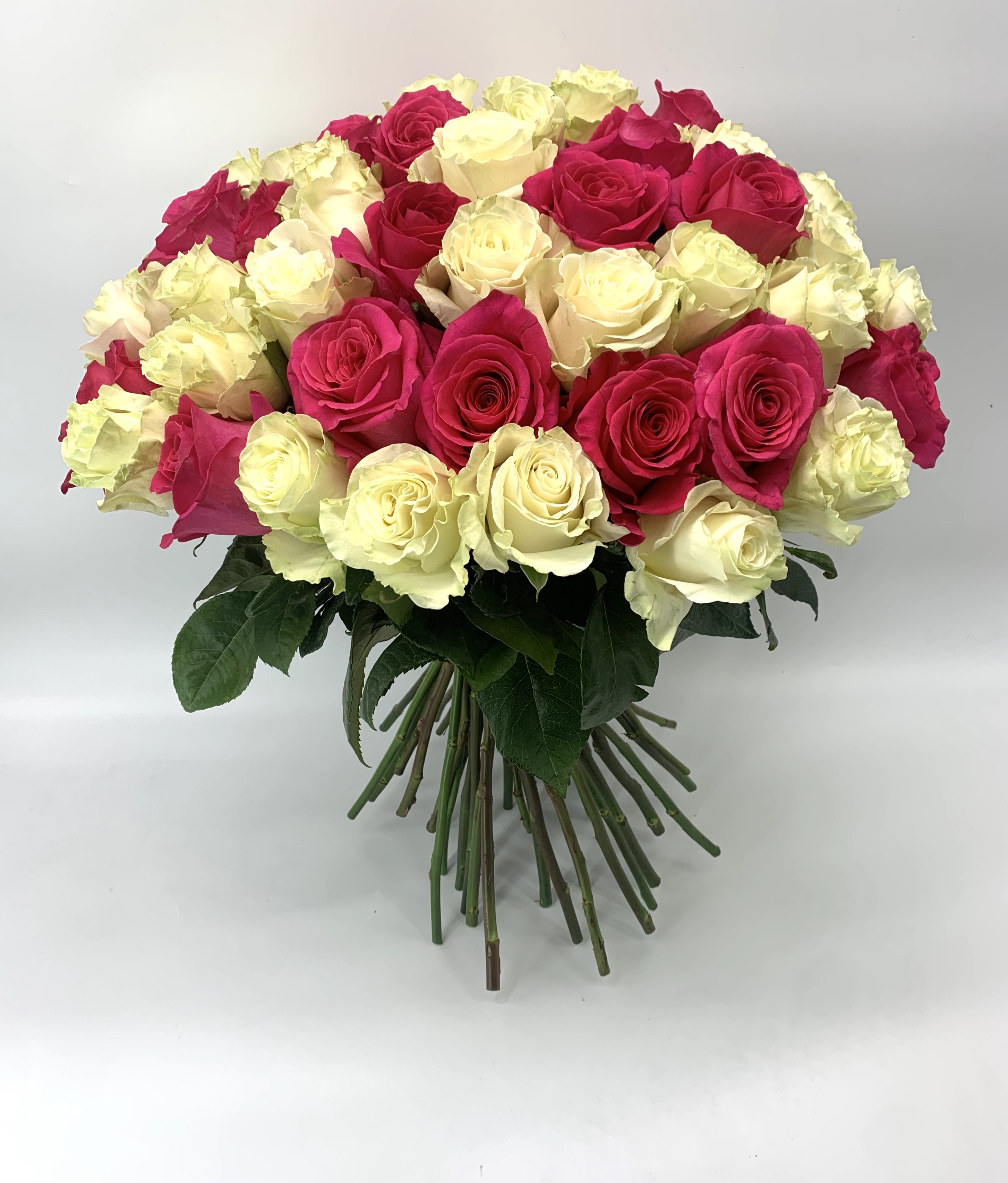 49 Ping and White Roses